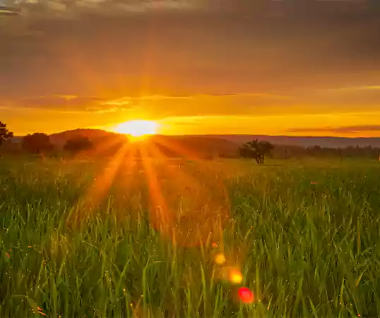 Top 21 Hottest Places In India To Escape The Chill 2026 Updated Top 21 Hottest Places In India To Escape The Chill 2026 Updated